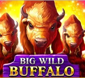 Woospin Casino Games, Play the Best Online Pokies and Table Games